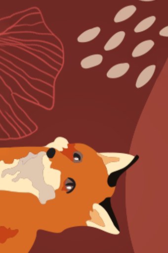 What The Fox? – Mind The Fluff