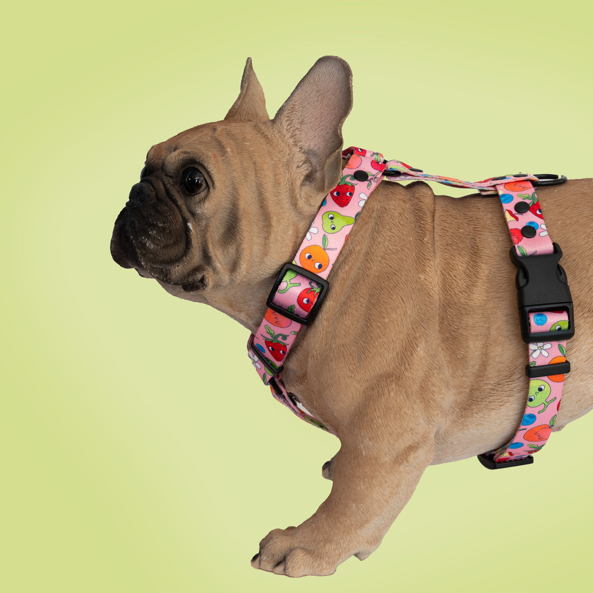 Sweet Tooth HARNESS – Mind The Fluff
