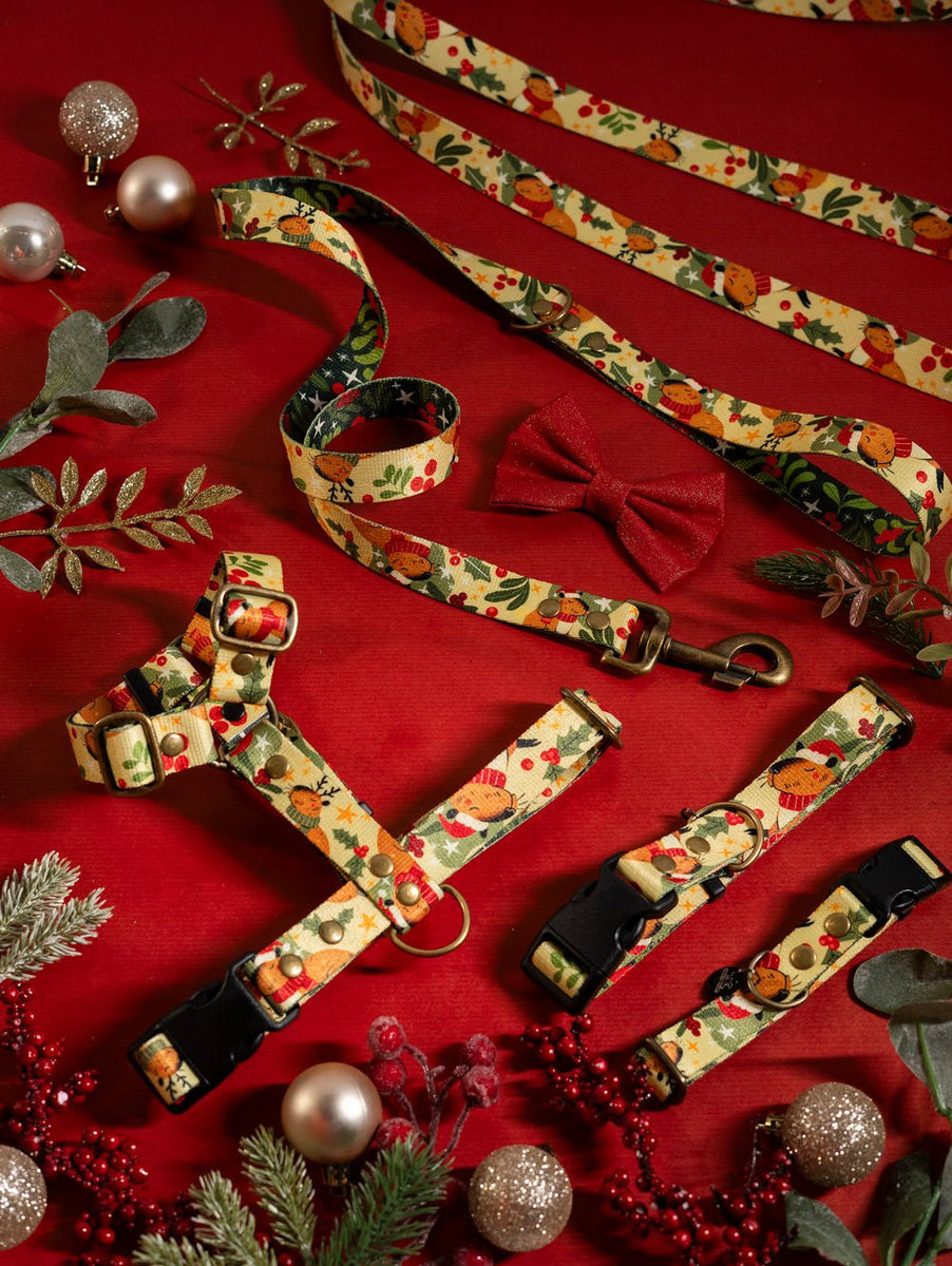 Capybara Christmas HARNESS – Mind The Fluff
