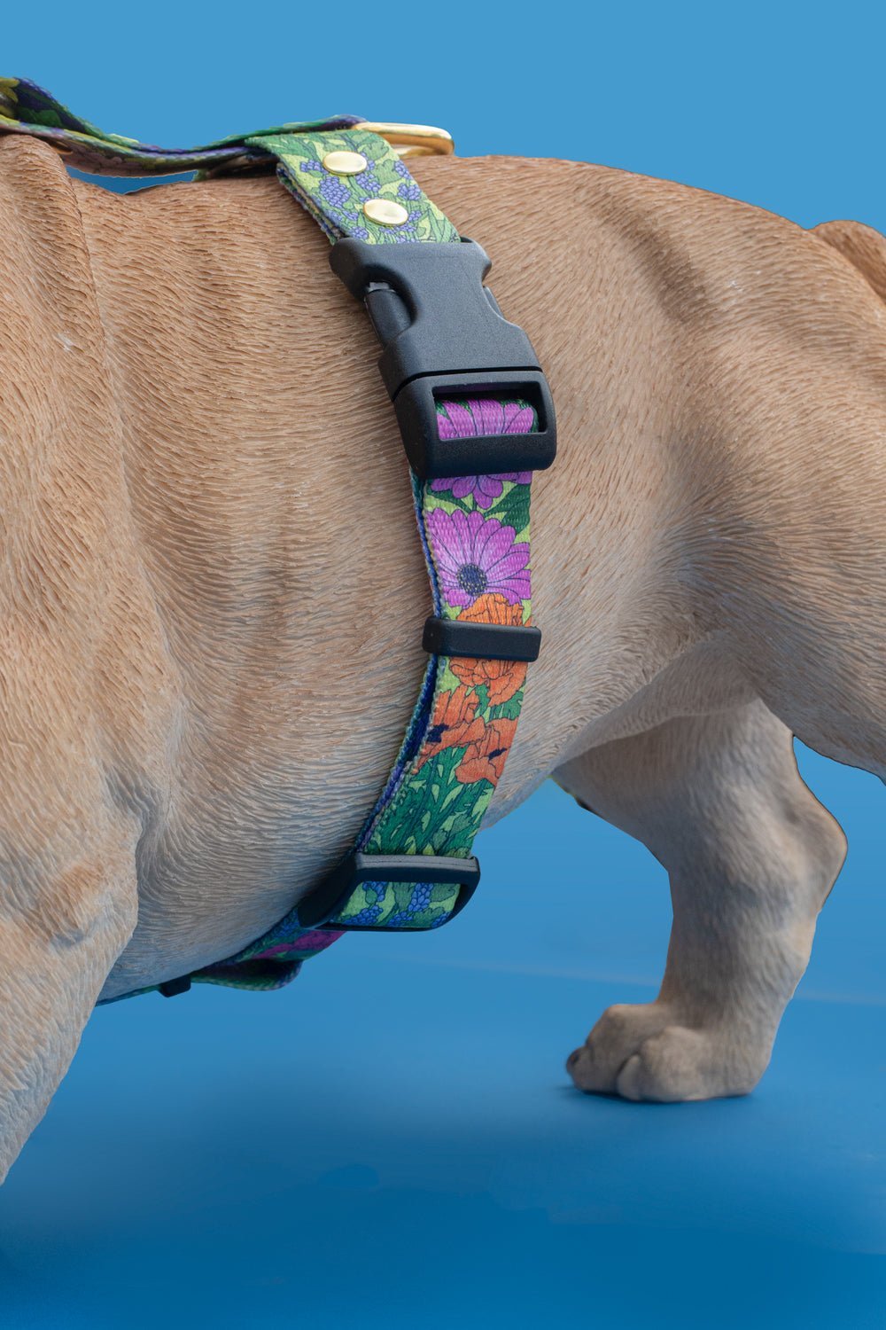Let It Grow HARNESS – Mind The Fluff